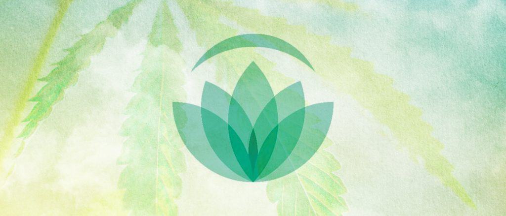 Namaste Fires CEO For Cause, Initiates Legal Action Over Alleged Self ...